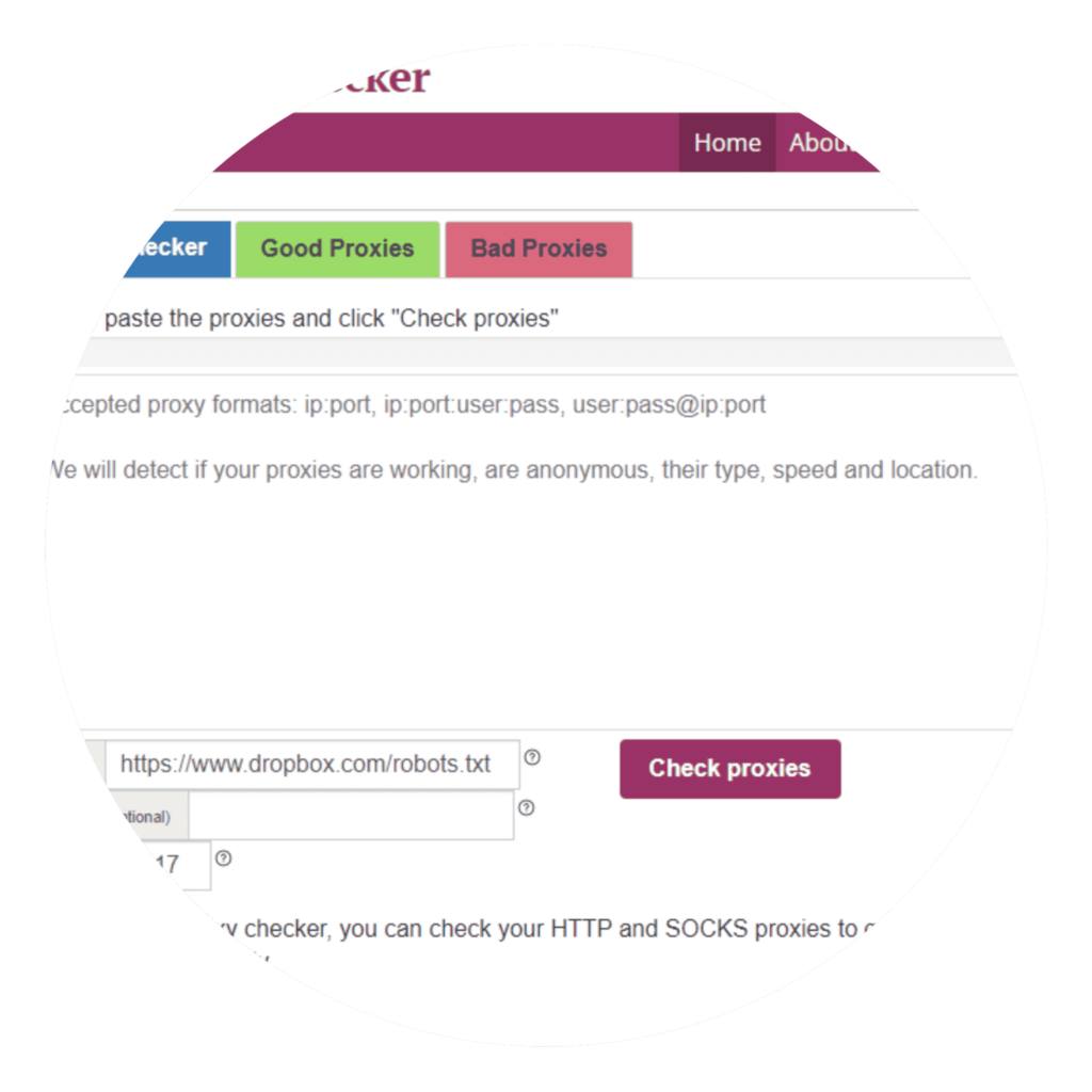 8 Best Proxy Testers: Check Your Proxy for Free